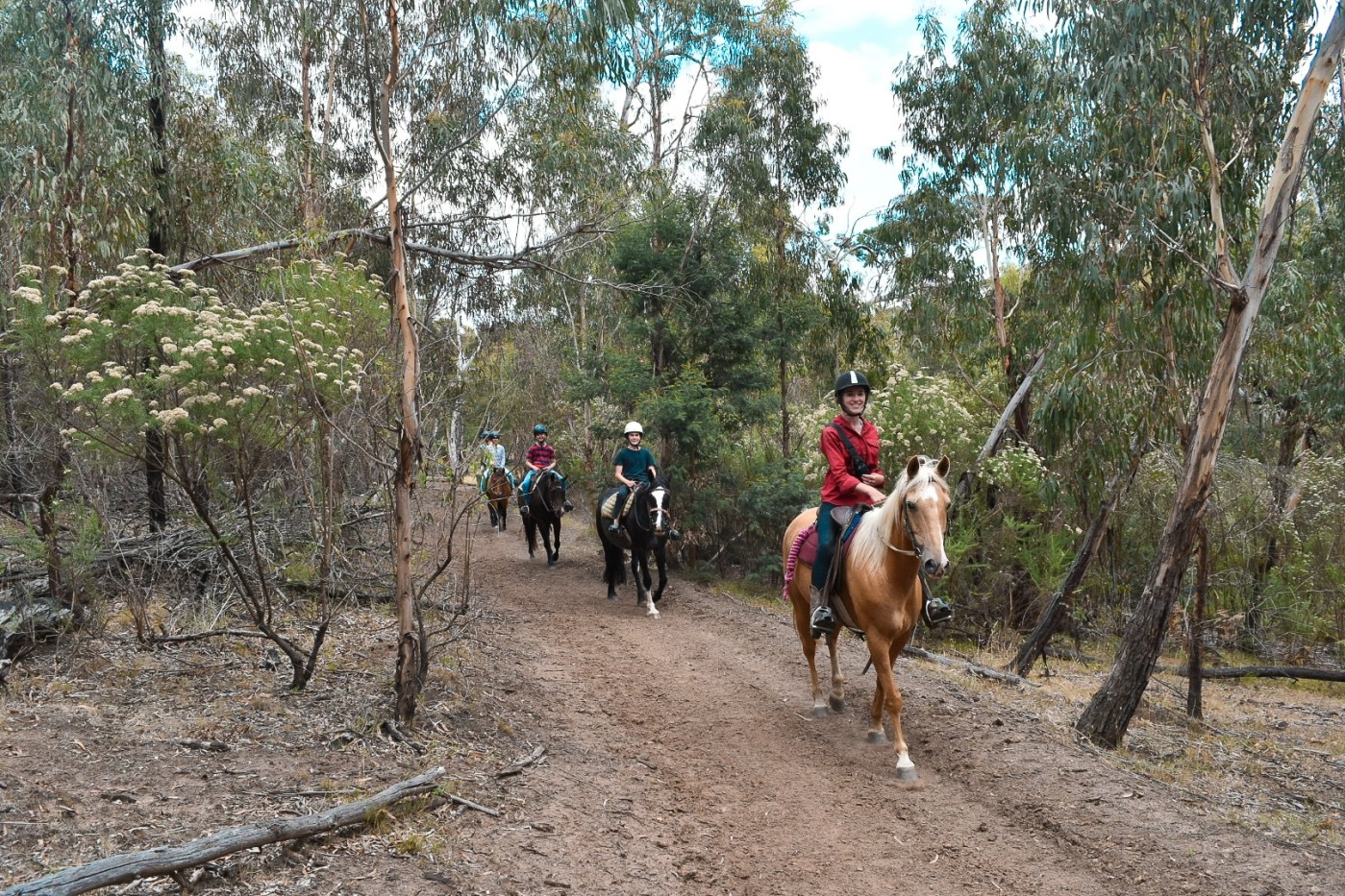 Spring Creek Horse Rides | Great Ocean Road Horse Riding Tours