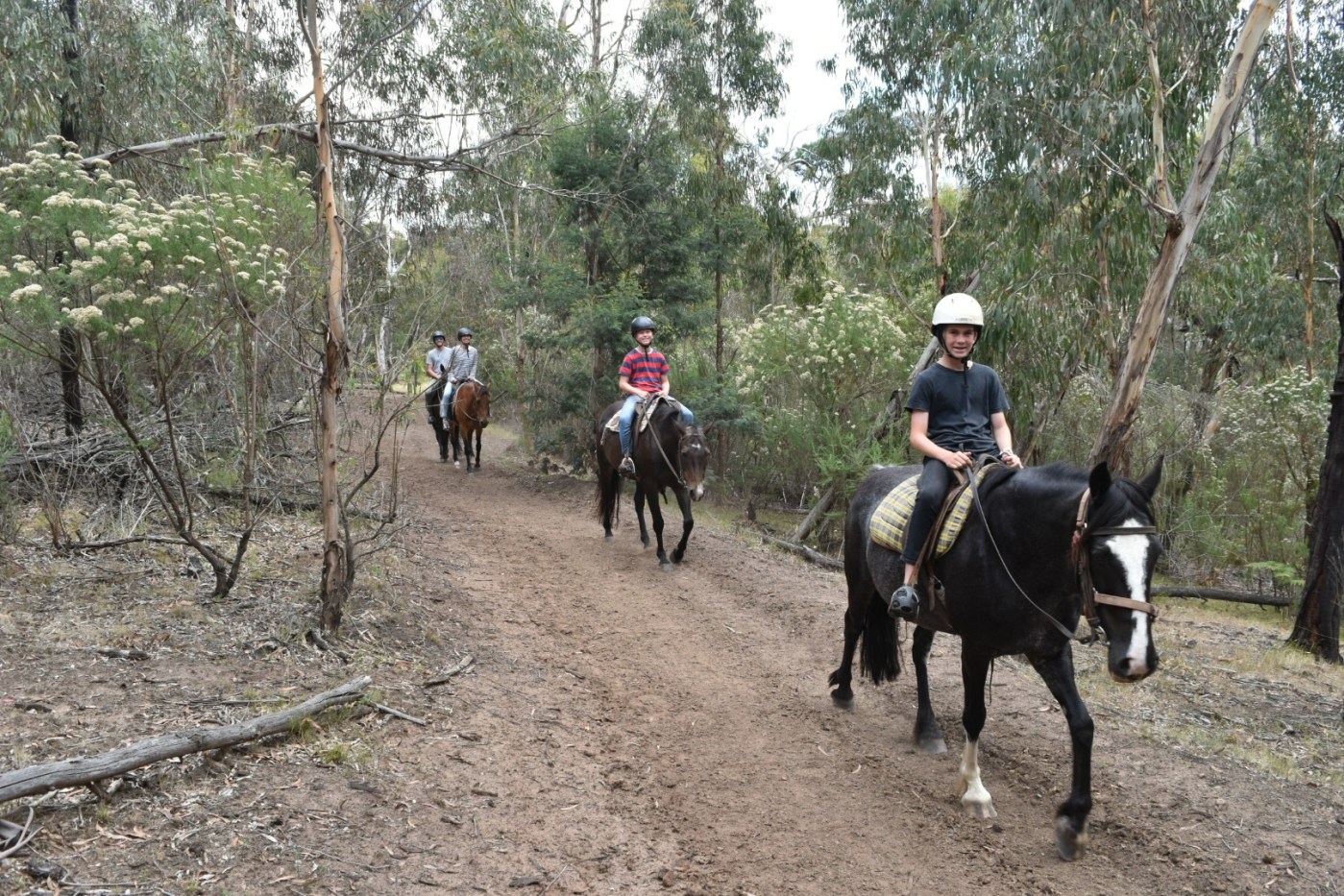 Horse Riding Tours Near Melbourne | Spring Creek Horse Rides