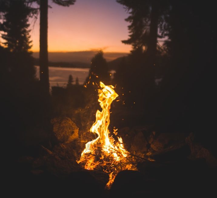 Winter After Lockdown At Spring Creek | Spring Creek Horse Rides