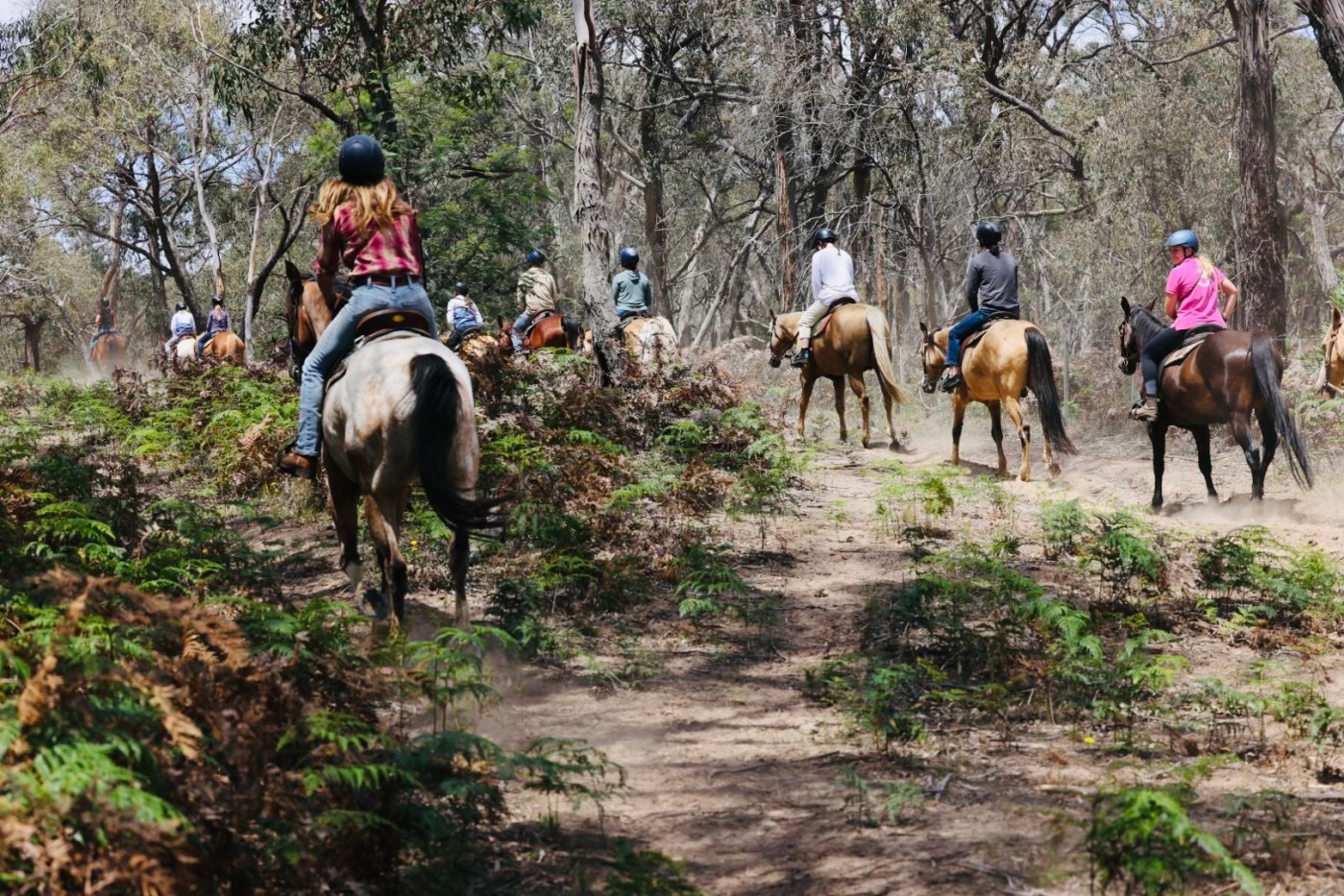 One Hour Trail Ride Torquay | Spring Creek Horse Rides